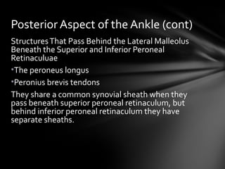 Anatomy of foot and ankle | PPT