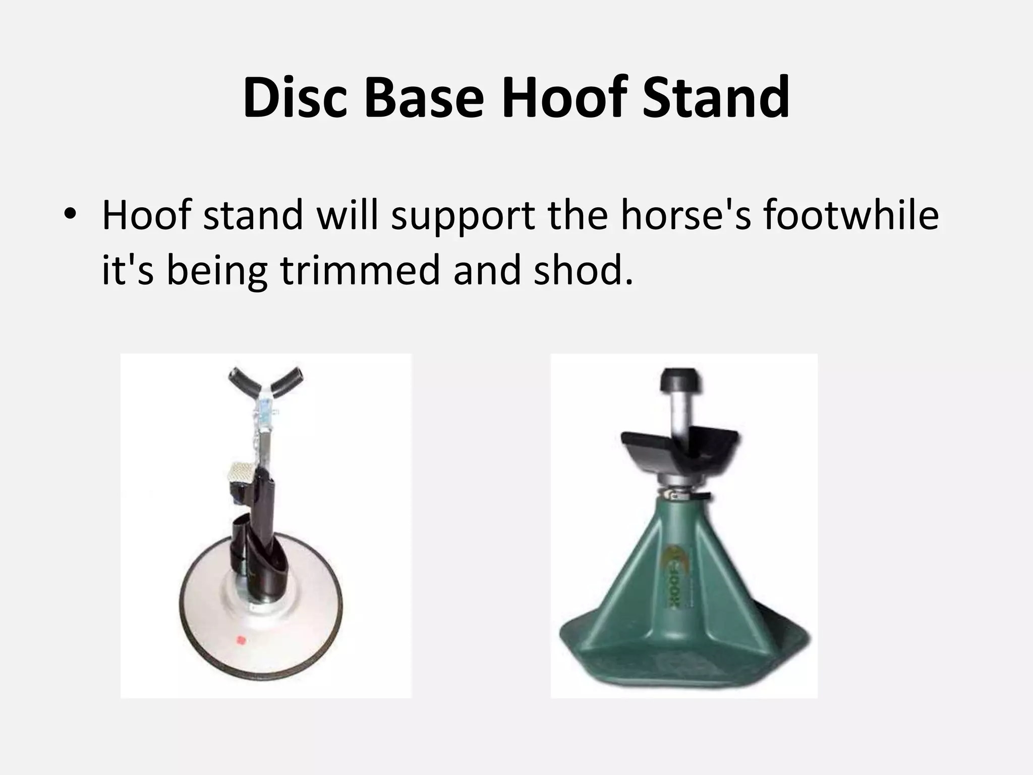 Anatomy of foot , shoeing tools, types of shoes and nails and their ...