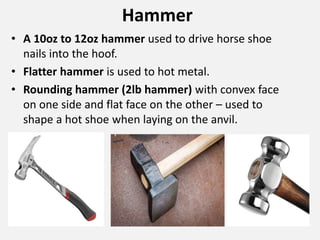 Anatomy of foot , shoeing tools, types of shoes and nails and their ...