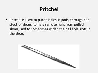 Anatomy of foot , shoeing tools, types of shoes and nails and their ...