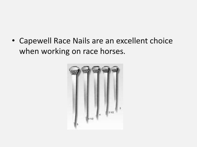 Anatomy of foot , shoeing tools, types of shoes and nails and their ...