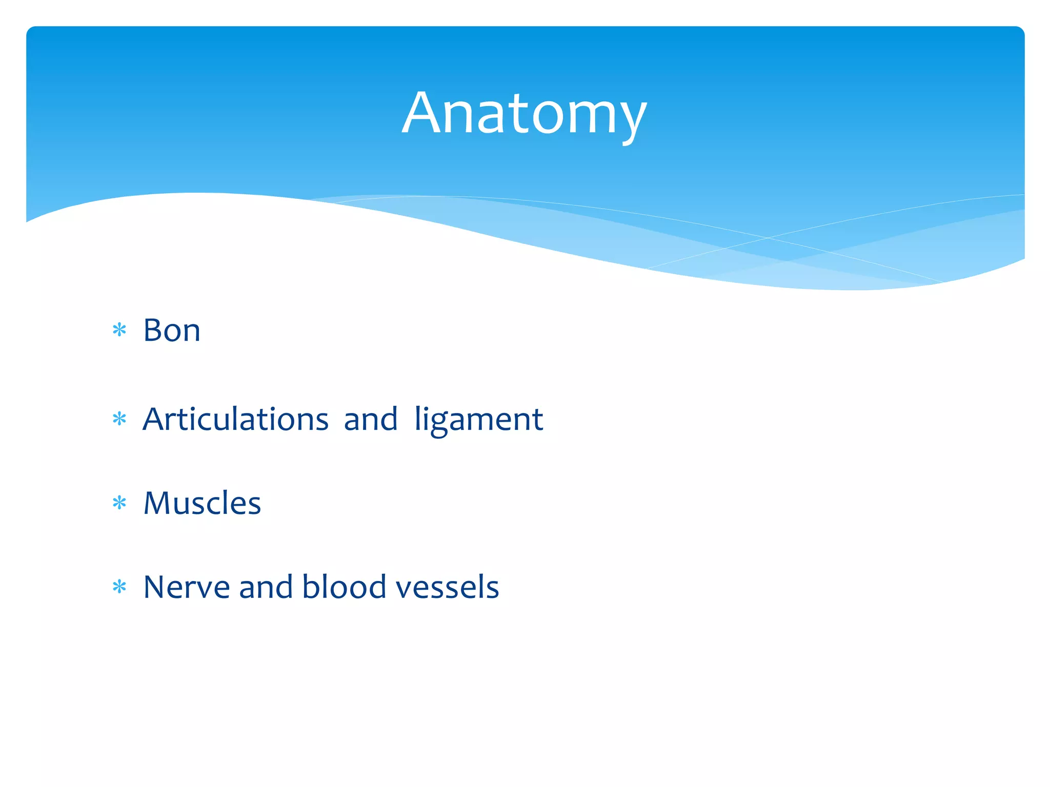 Anatomy of forearm | PPTX