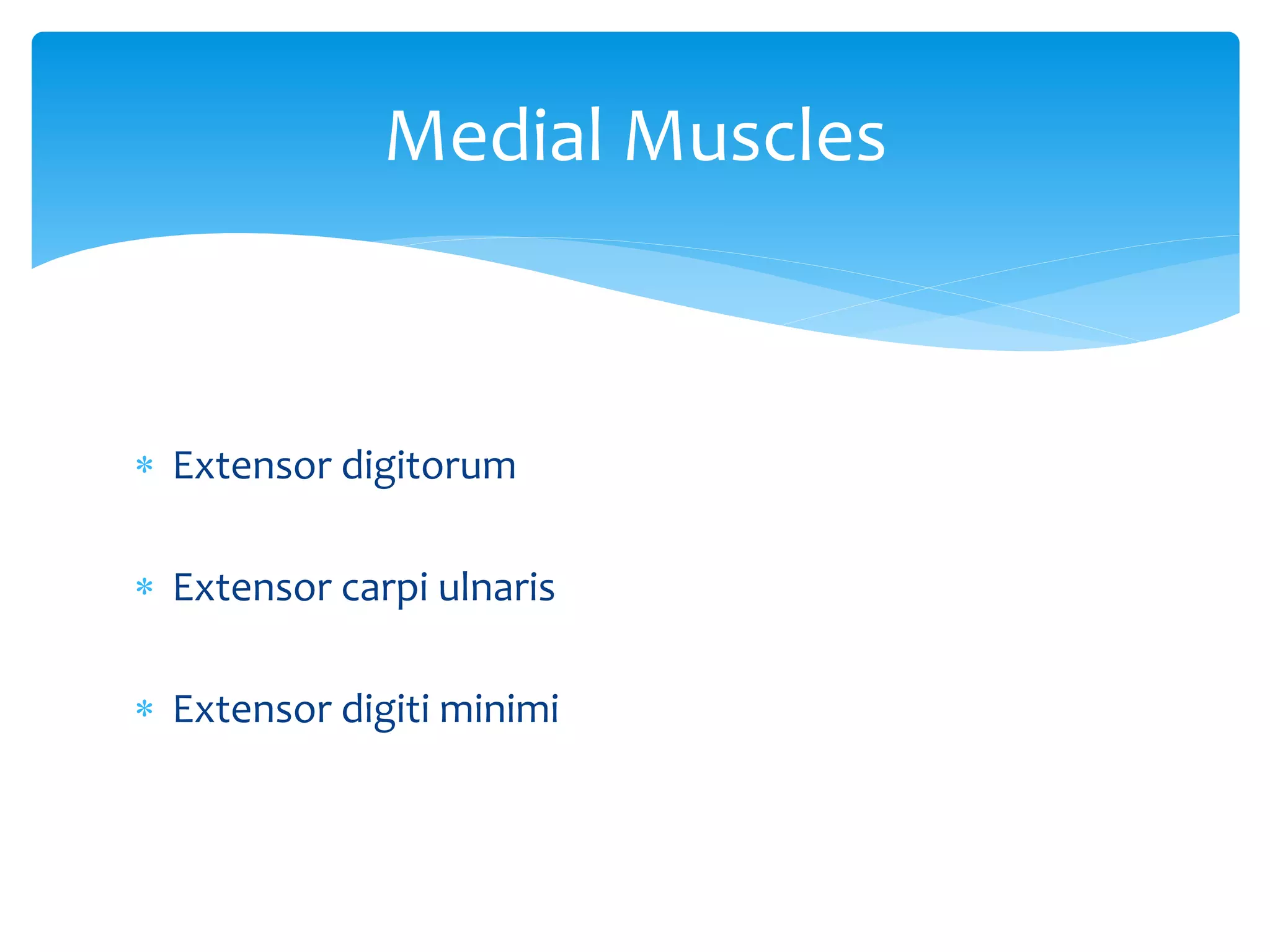 Anatomy of forearm | PPTX