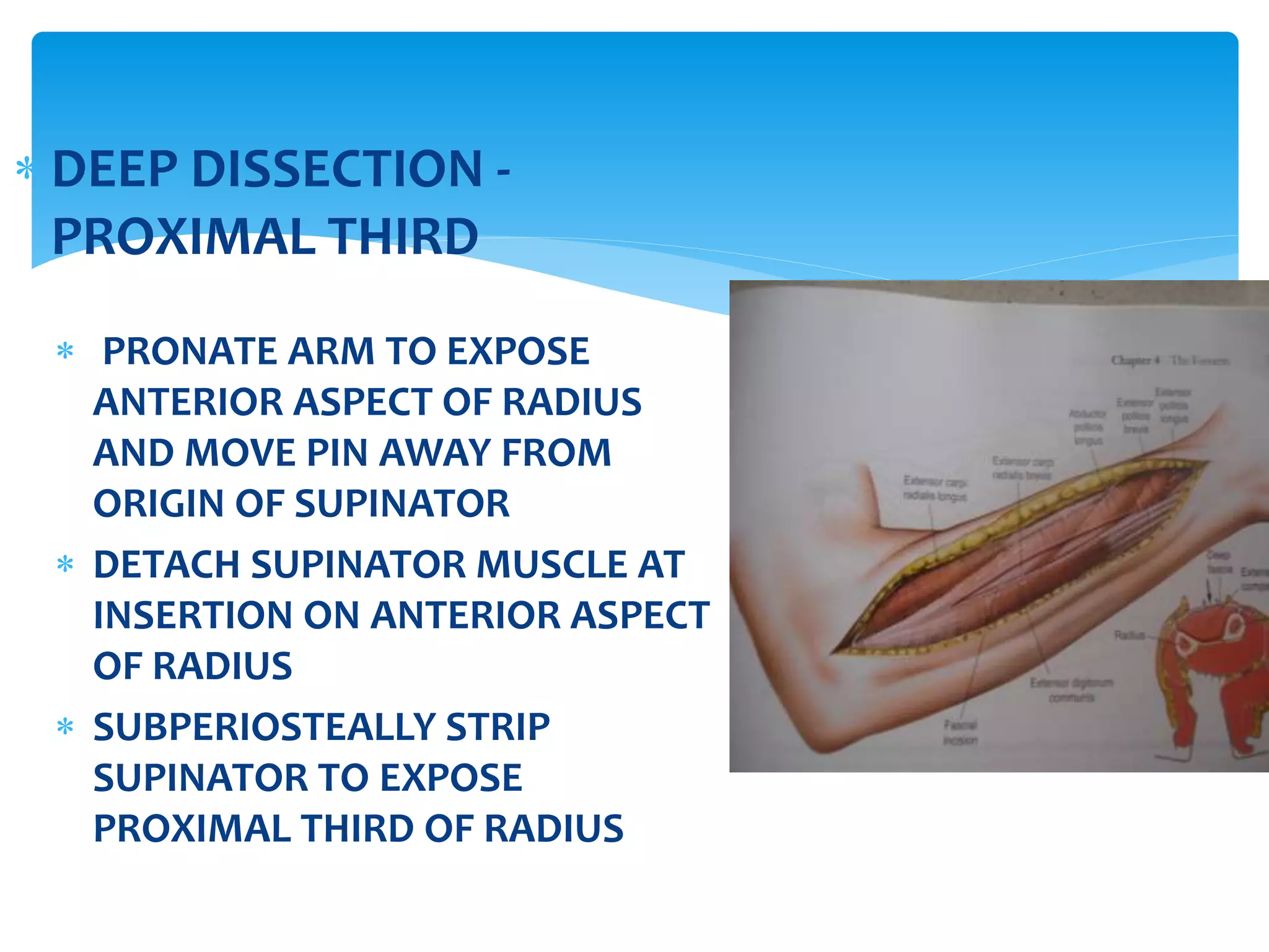 Anatomy of forearm | PPTX