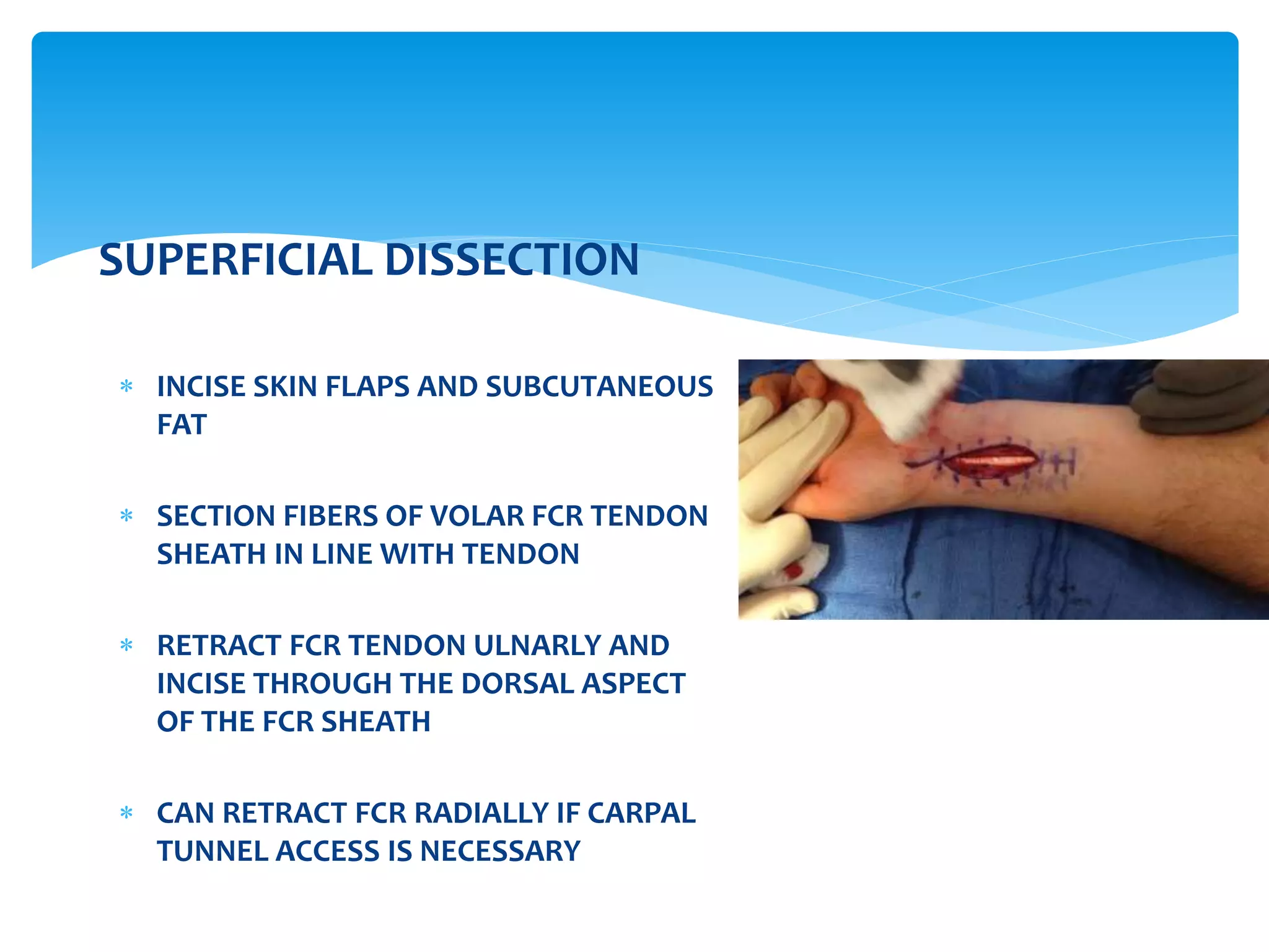 Anatomy of forearm | PPTX