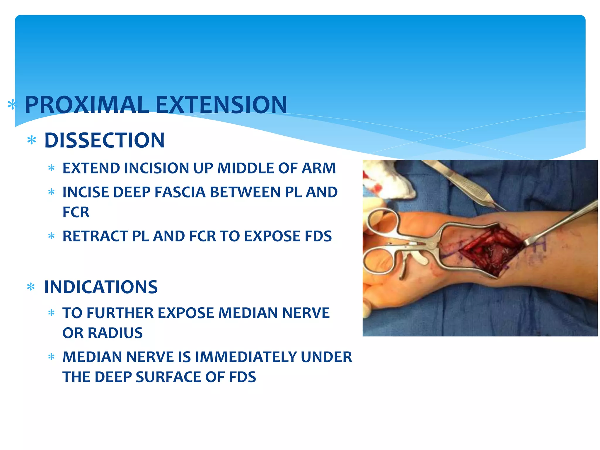 Anatomy of forearm | PPTX