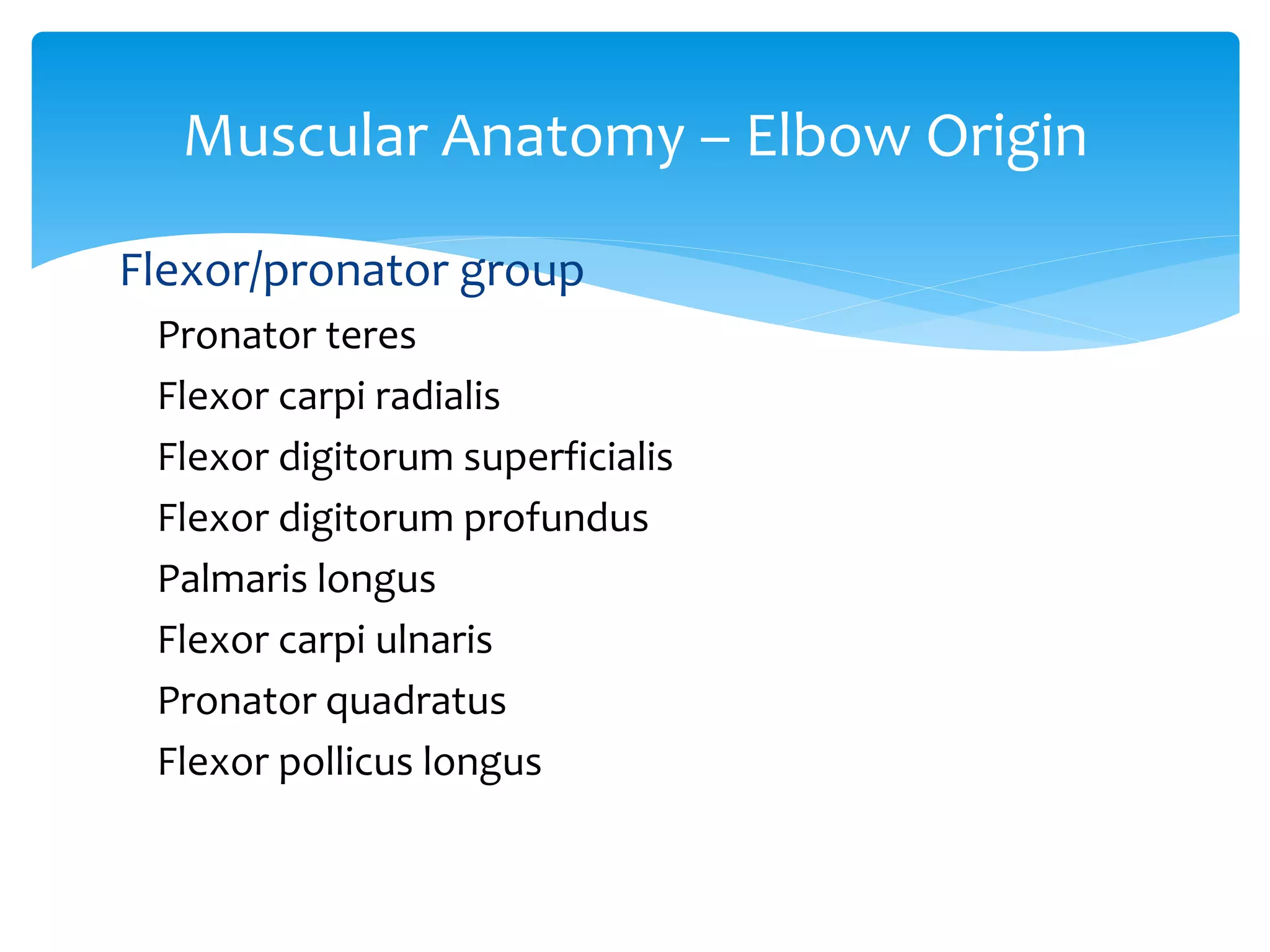 Anatomy of forearm | PPTX