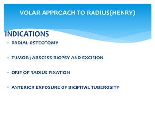 Anatomy of forearm | PPTX