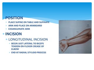 Anatomy of forearm | PPTX