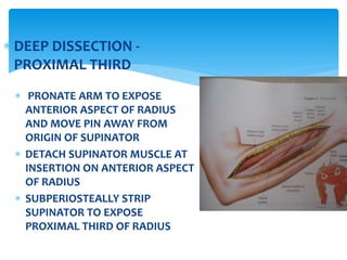 Anatomy of forearm | PPTX
