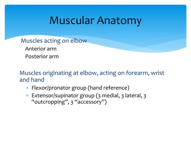 Anatomy of forearm | PPTX