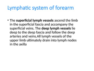 Anatomy of forearm prepared by dr A Hemat | PPTX