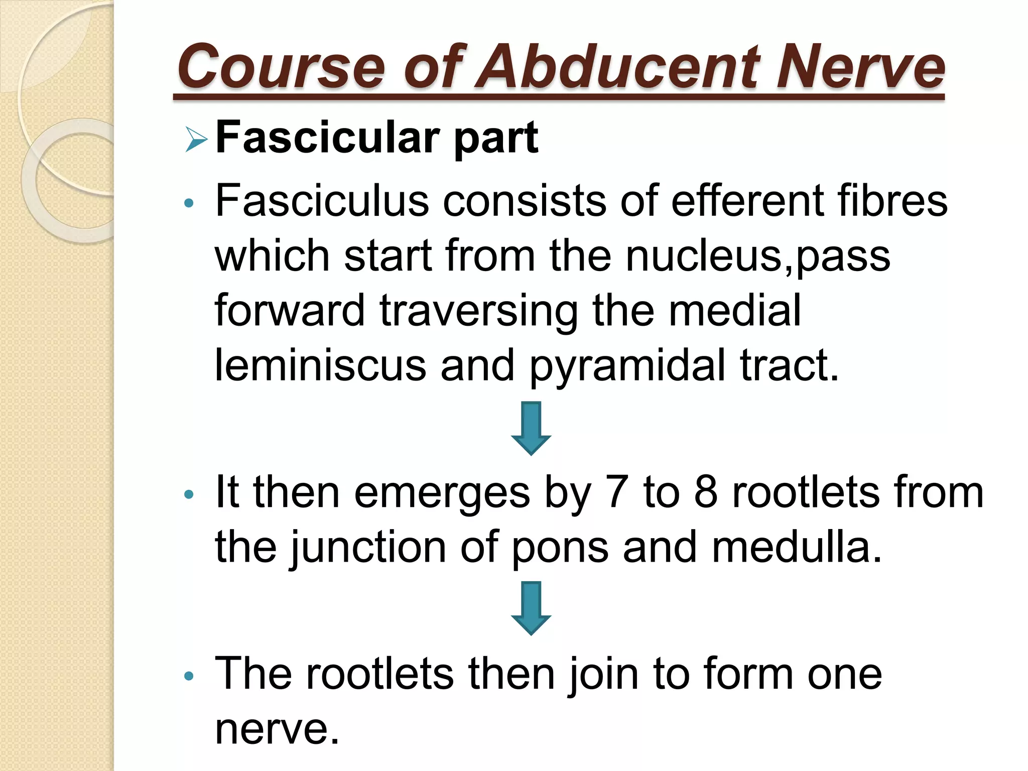 Anatomy of fourth and sixth cranial nerve 06.12.13