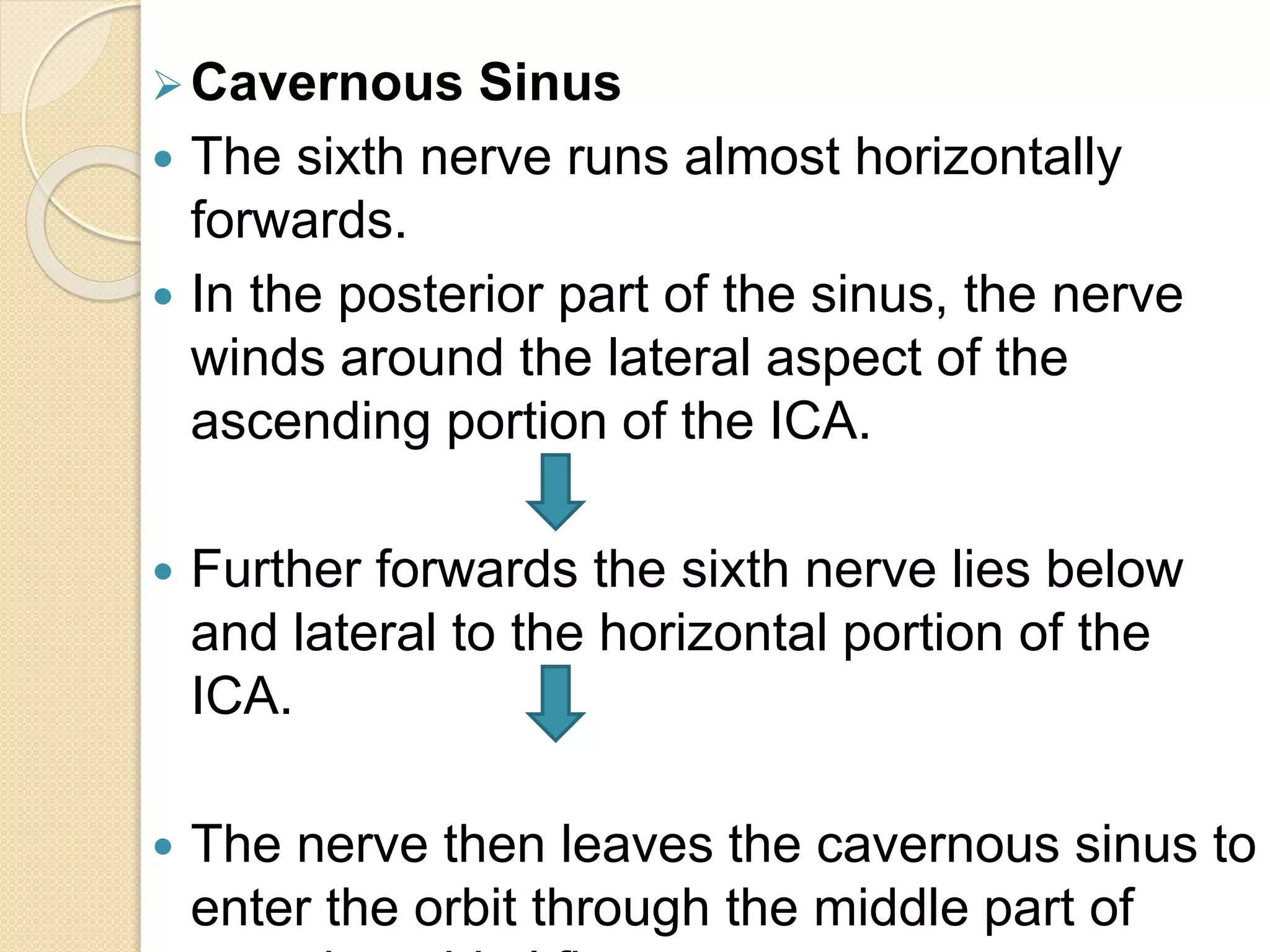 Anatomy of fourth and sixth cranial nerve 06.12.13