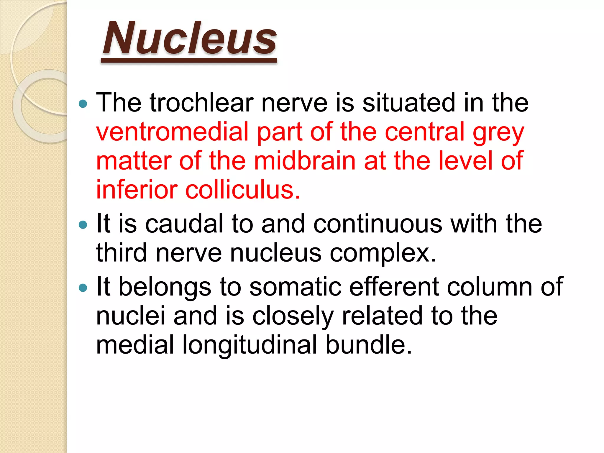 Anatomy of fourth and sixth cranial nerve 06.12.13