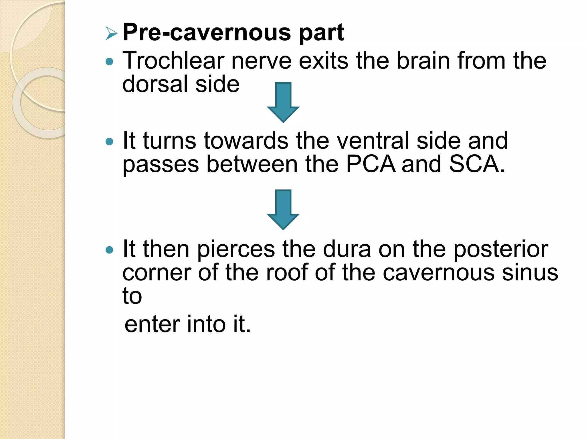 Anatomy of fourth and sixth cranial nerve 06.12.13