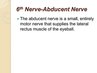 Anatomy of fourth and sixth cranial nerve 06.12.13