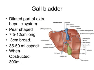Gall bladder Anatomo physiology | PPTX