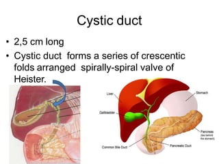 Gall bladder Anatomo physiology | PPTX