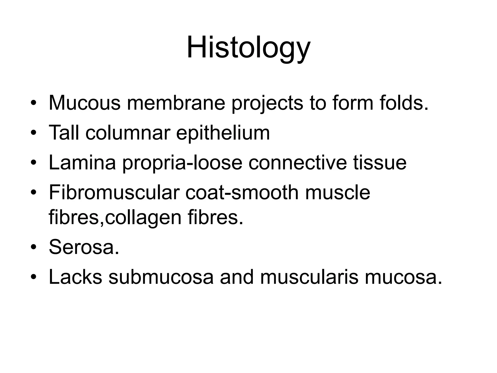 Anatomy of gall bladder | PPTX