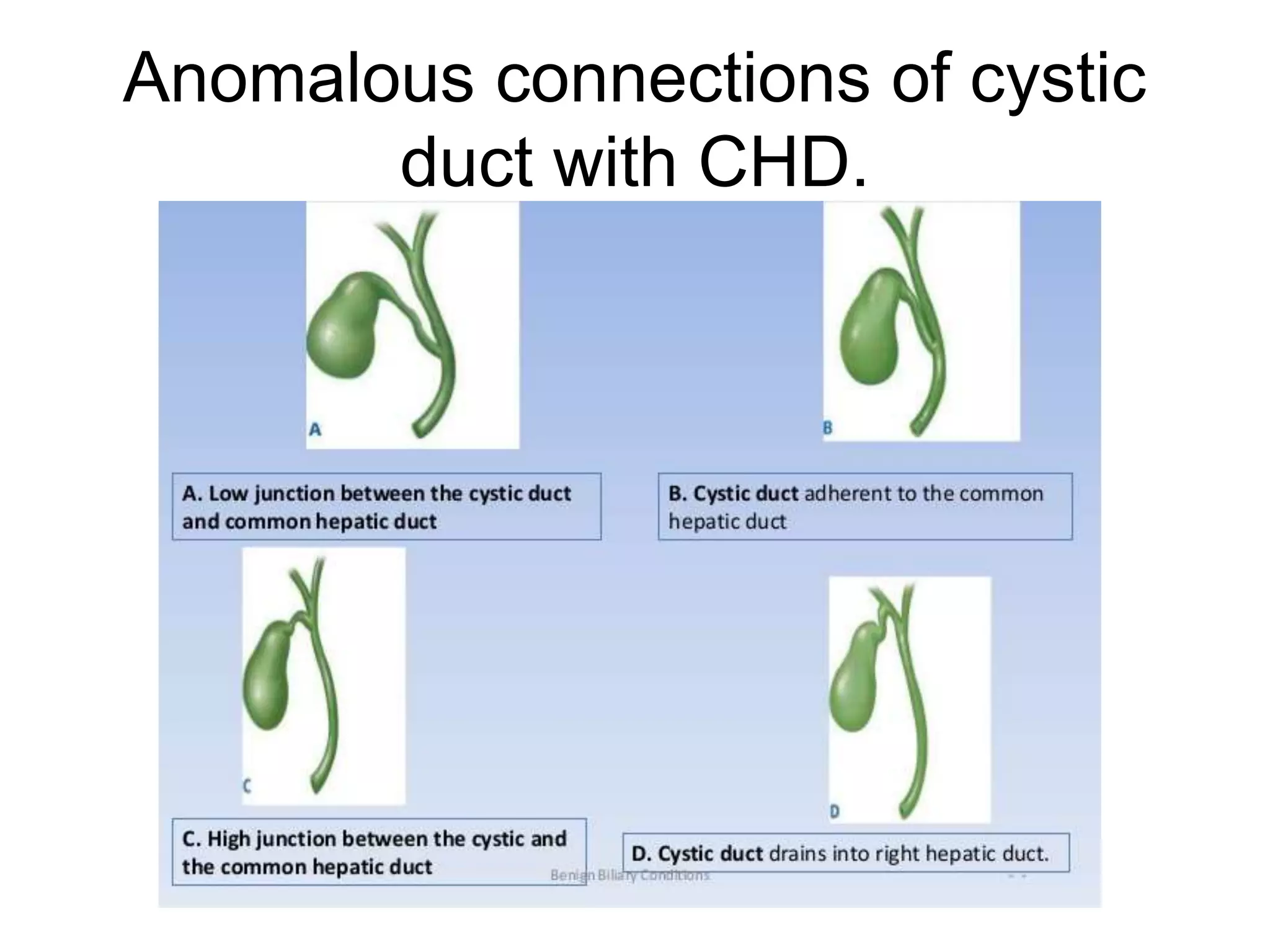 Anatomy of gall bladder | PPTX