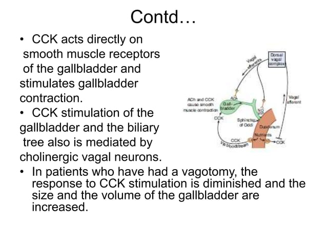 Anatomy of gall bladder | PPTX