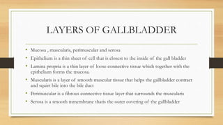 anatomyofgallbladder.pdf
