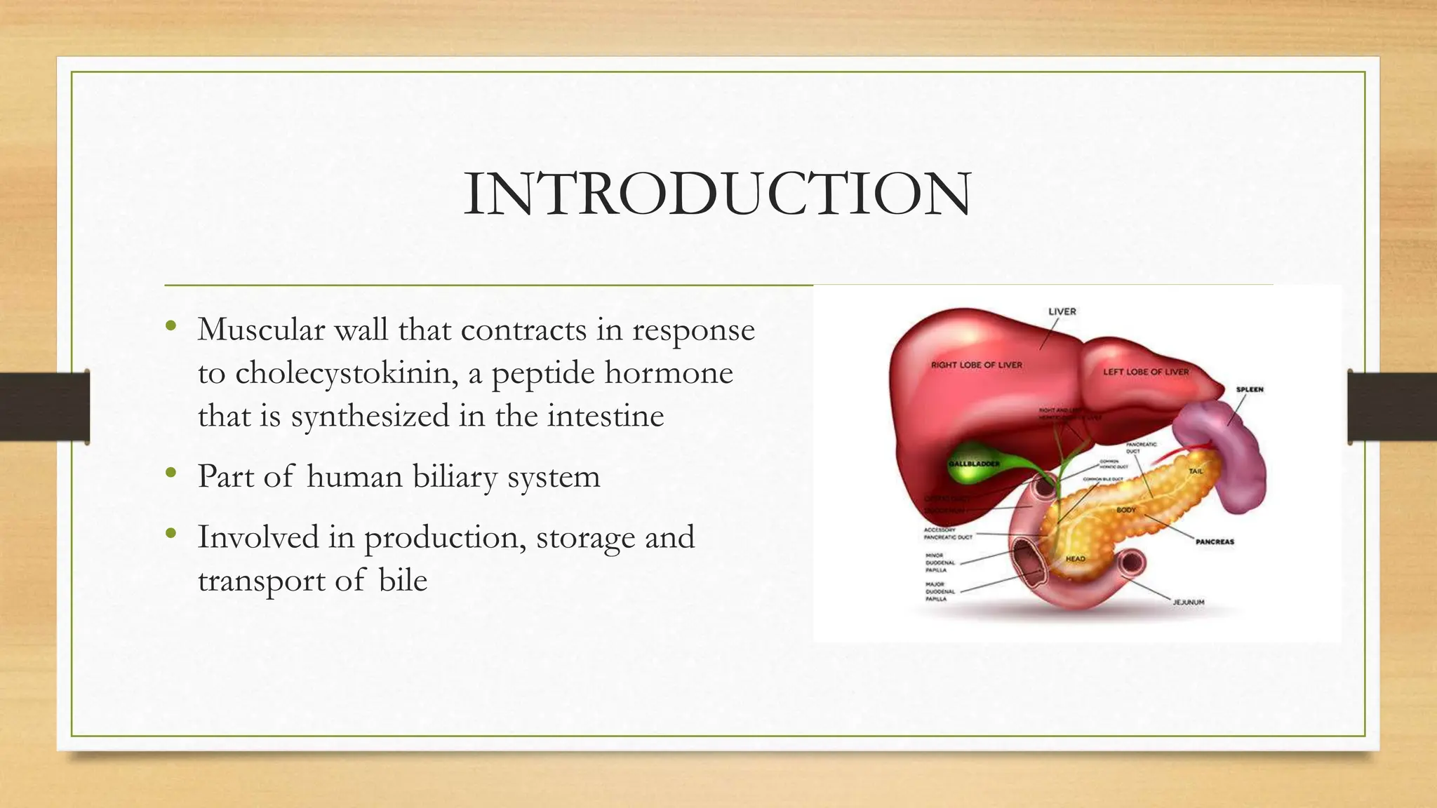 ANATOMY AND PHYSIOLOGY OF GALL BLADDER | PPTX