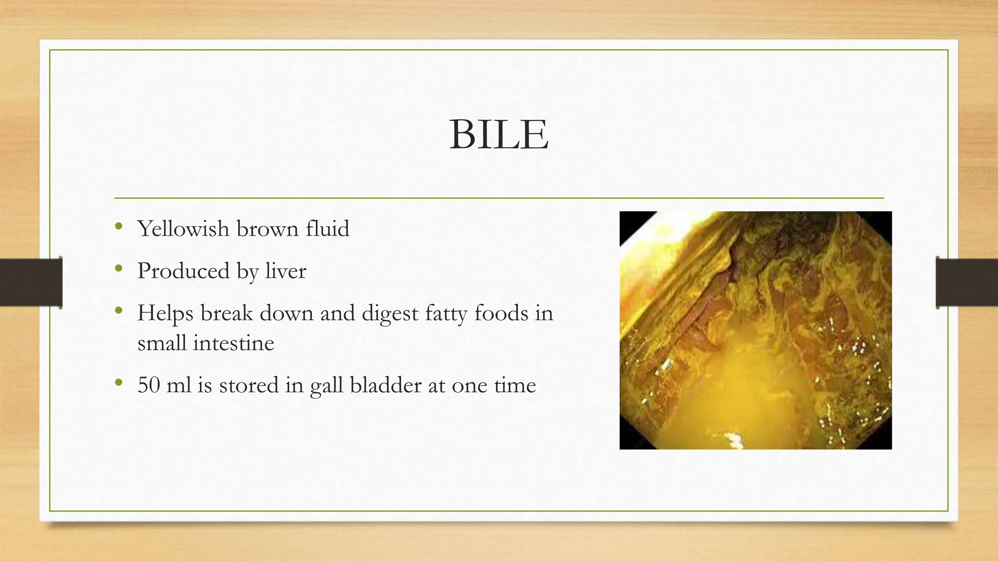 ANATOMY AND PHYSIOLOGY OF GALL BLADDER | PPTX | Pregnancy ...