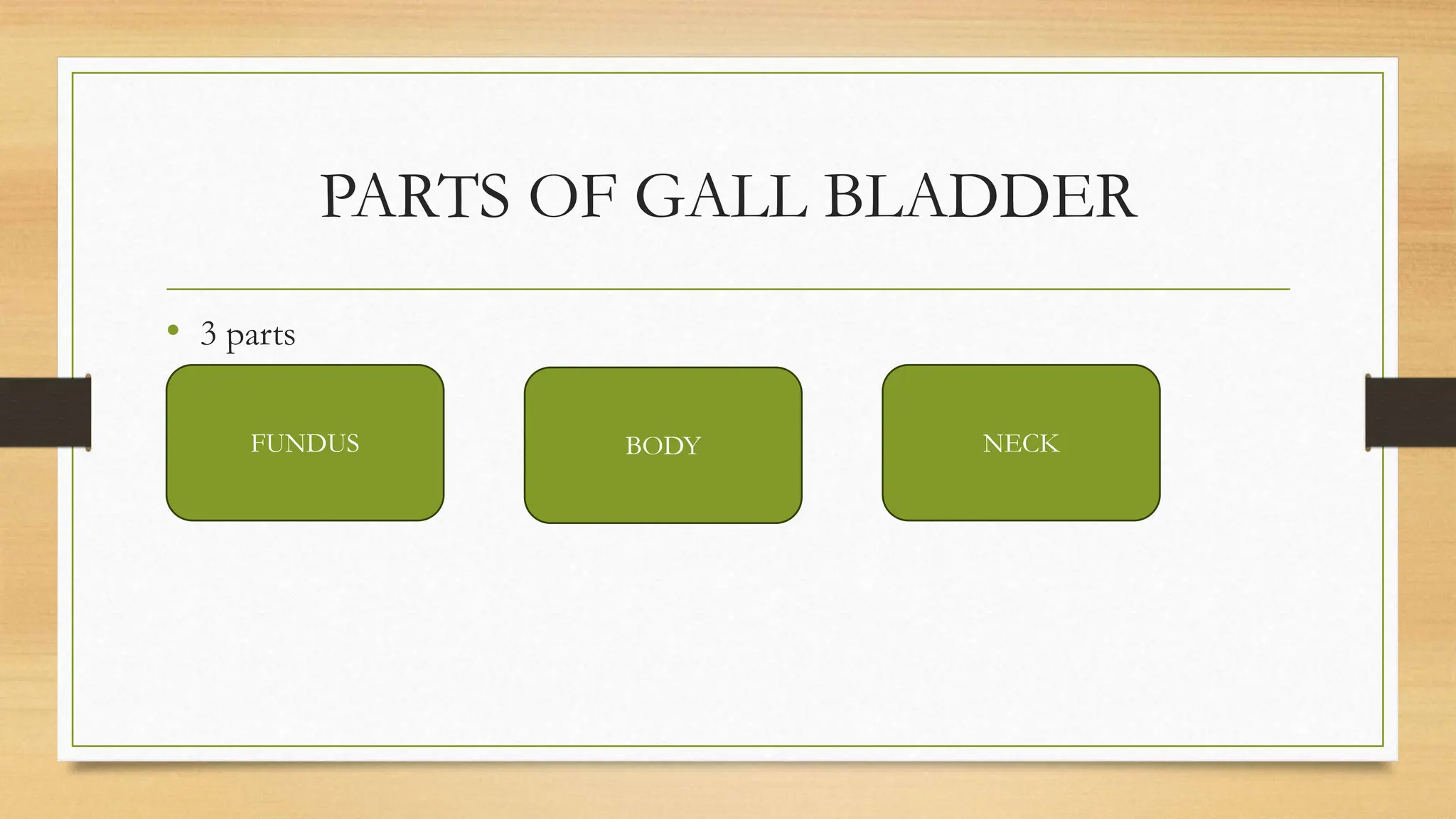 ANATOMY AND PHYSIOLOGY OF GALL BLADDER | PPTX