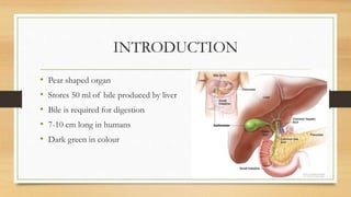 ANATOMY AND PHYSIOLOGY OF GALL BLADDER | PPTX