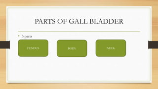 ANATOMY AND PHYSIOLOGY OF GALL BLADDER | PPTX