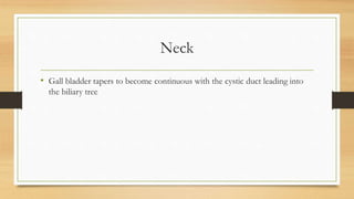 ANATOMY AND PHYSIOLOGY OF GALL BLADDER | PPTX