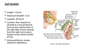Anatomy of Gall bladder and Biliary tree.pptx