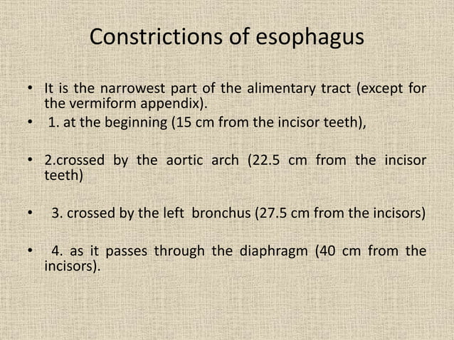 Anatomy of gastroesophagial junction with specail reference to hiatus ...