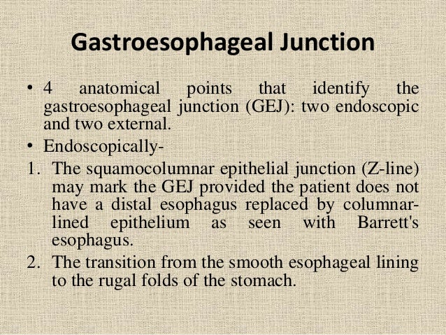 Anatomy of gastroesophagial junction with specail reference to hiatu…