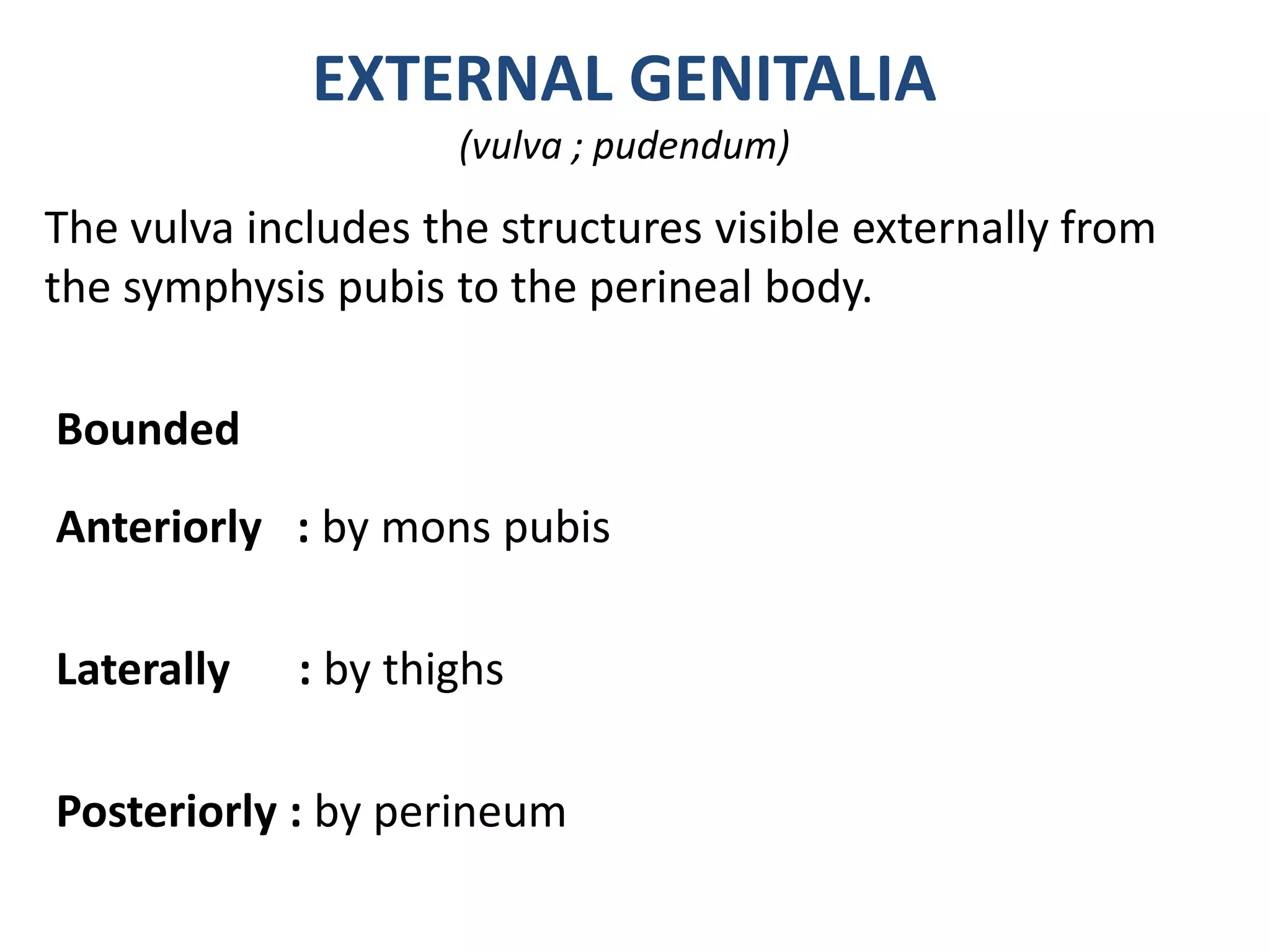 Anatomy of female external genital tract, urethra, urinary bladder | PPTX