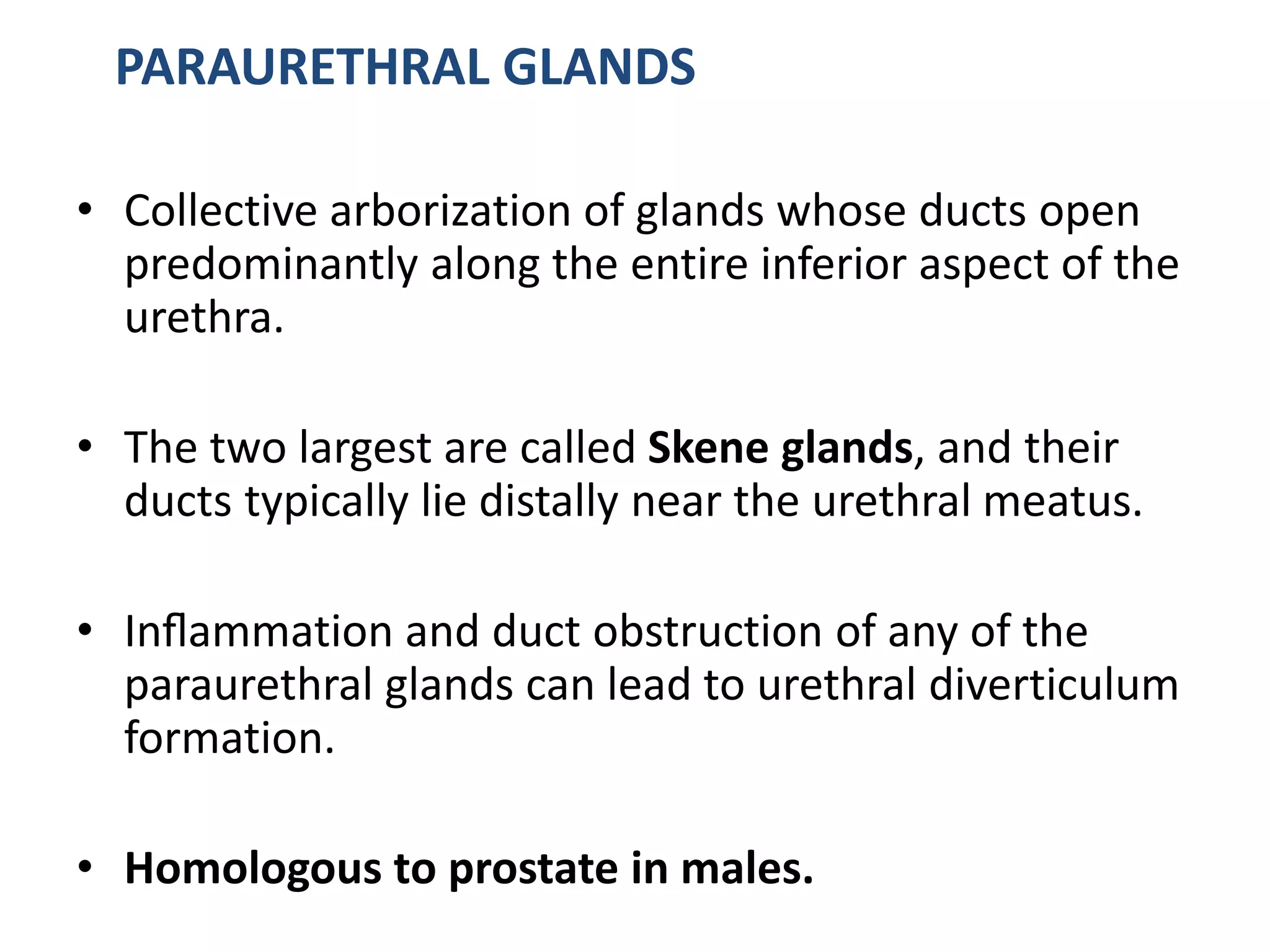 Anatomy of female external genital tract, urethra, urinary bladder | PPTX