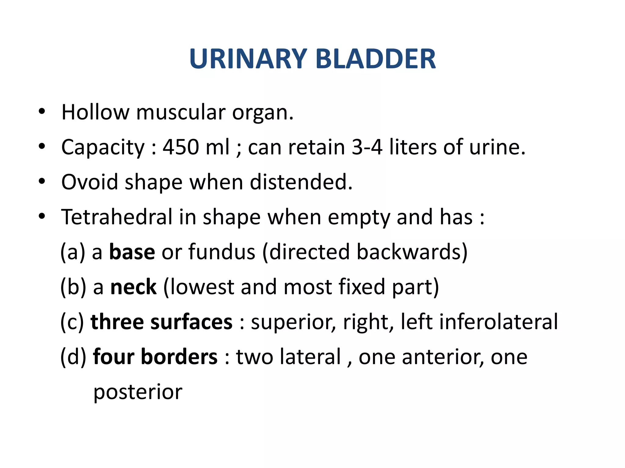Anatomy of female external genital tract, urethra, urinary bladder | PPTX