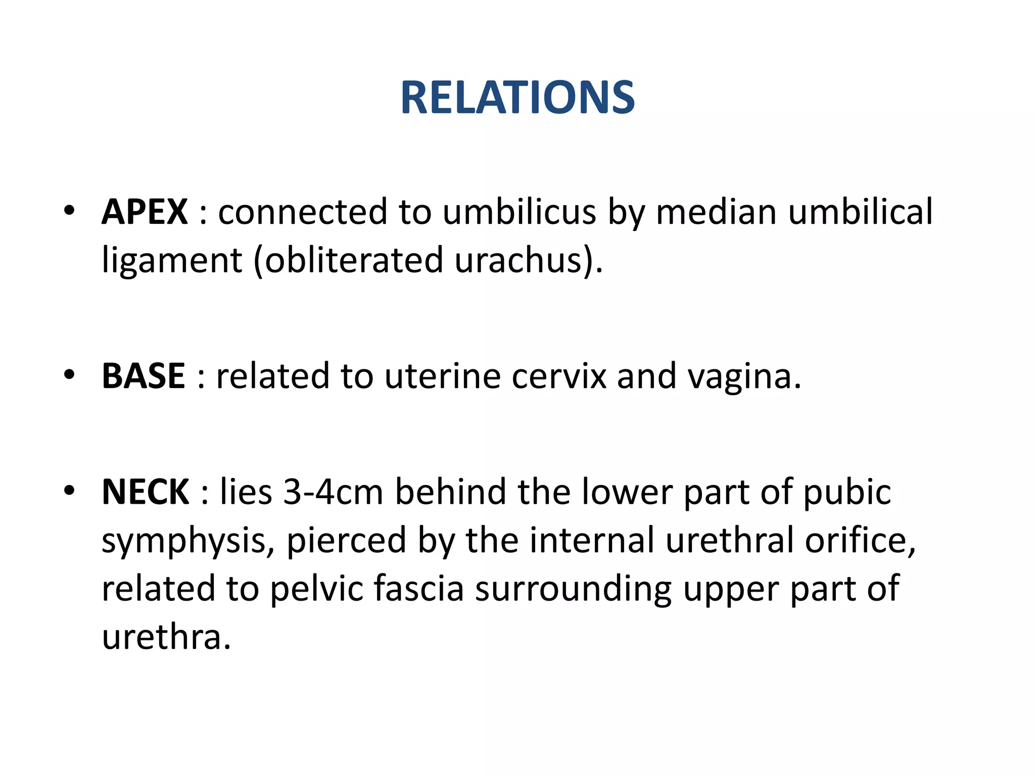 Anatomy of female external genital tract, urethra, urinary bladder | PPTX