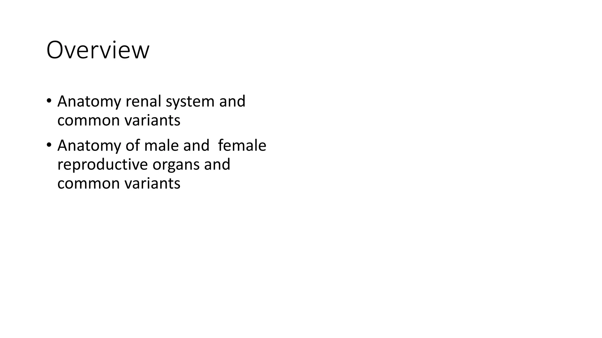 Anatomy of genitourinary system | PPTX