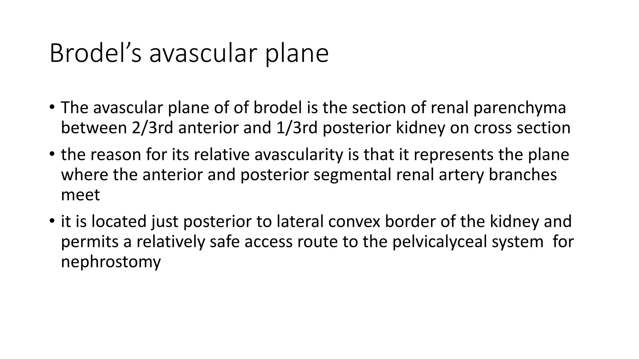 Anatomy of genitourinary system | PPTX