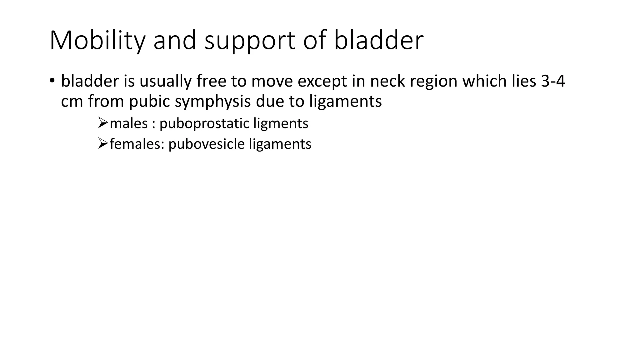 Anatomy of genitourinary system | PPTX