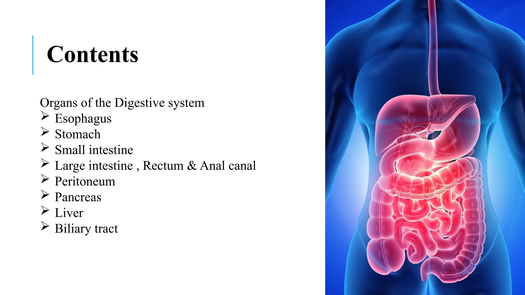 Anatomy of Gastro intestinal tract- An overview | PPTX