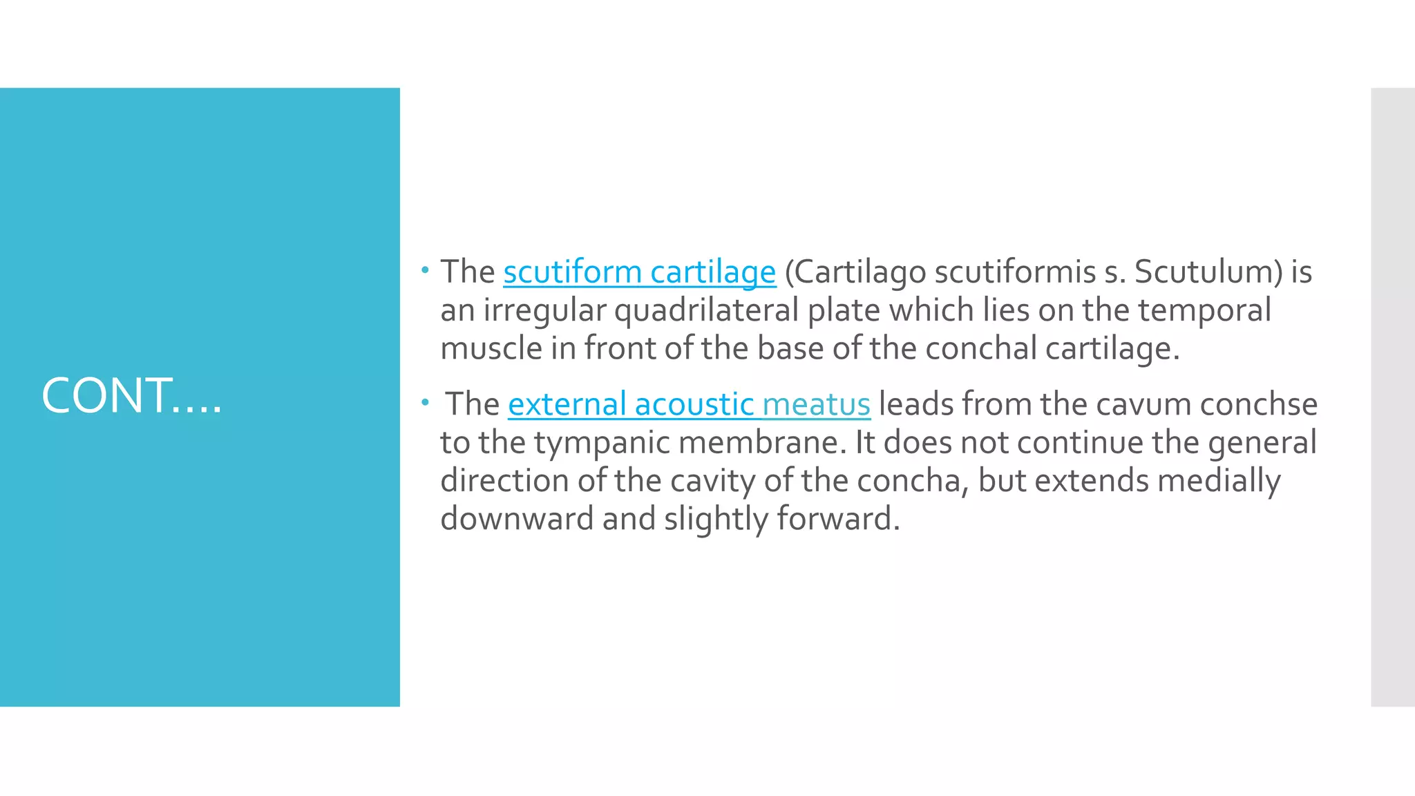 Anatomy of goat ear | PPTX