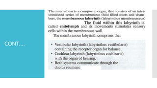 Anatomy of goat ear | PPTX
