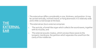 Anatomy of goat ear | PPTX