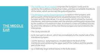 Anatomy of goat ear | PPTX