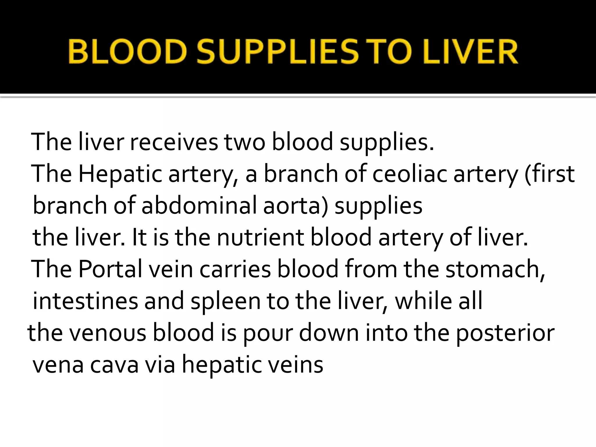 Anatomy of goat liver | PPTX