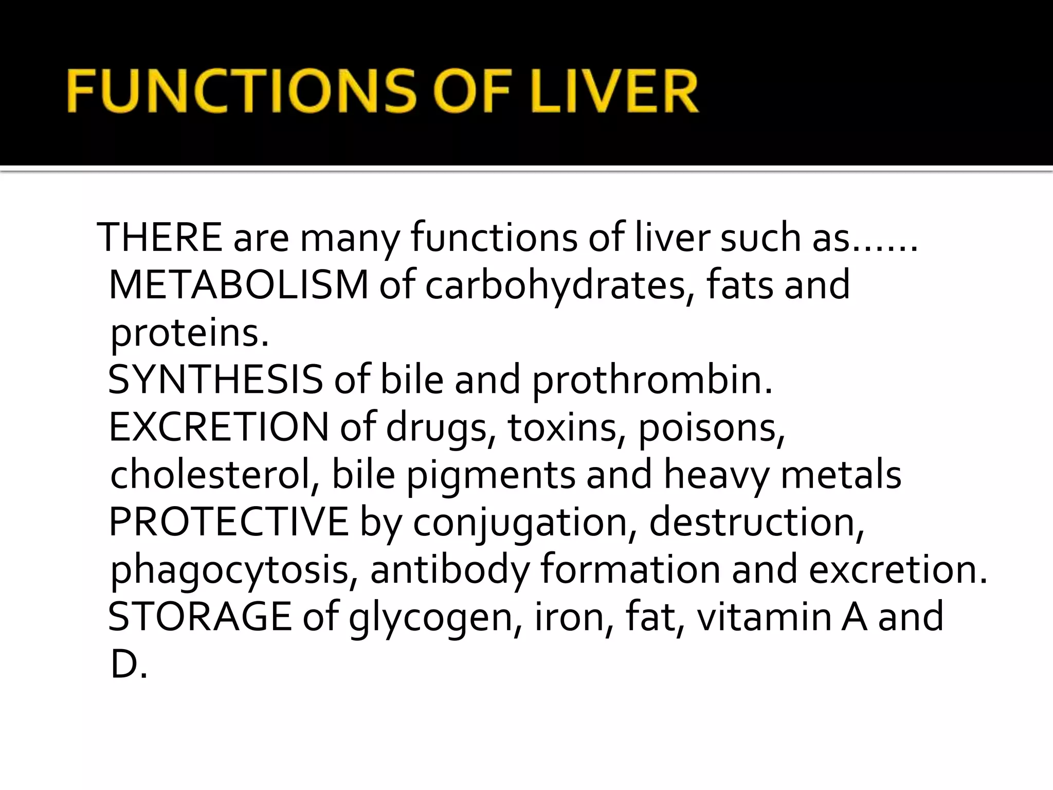 Anatomy of goat liver | PPTX